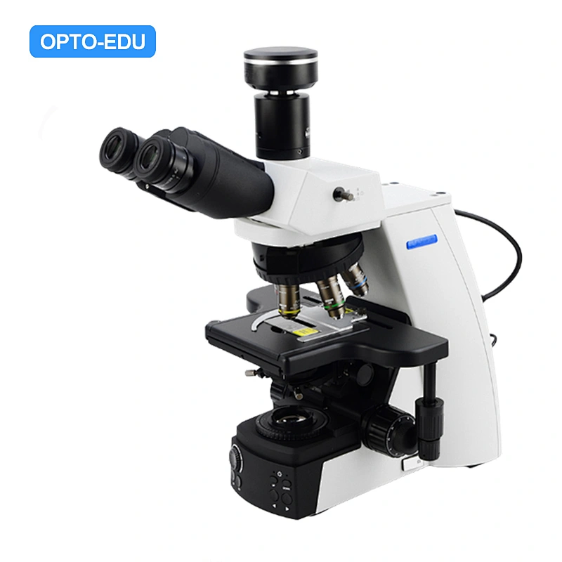Laboratory Biological Microscope